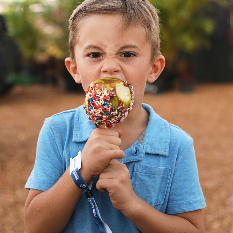 2026 Florida State Fair - Florida State Fairgrounds