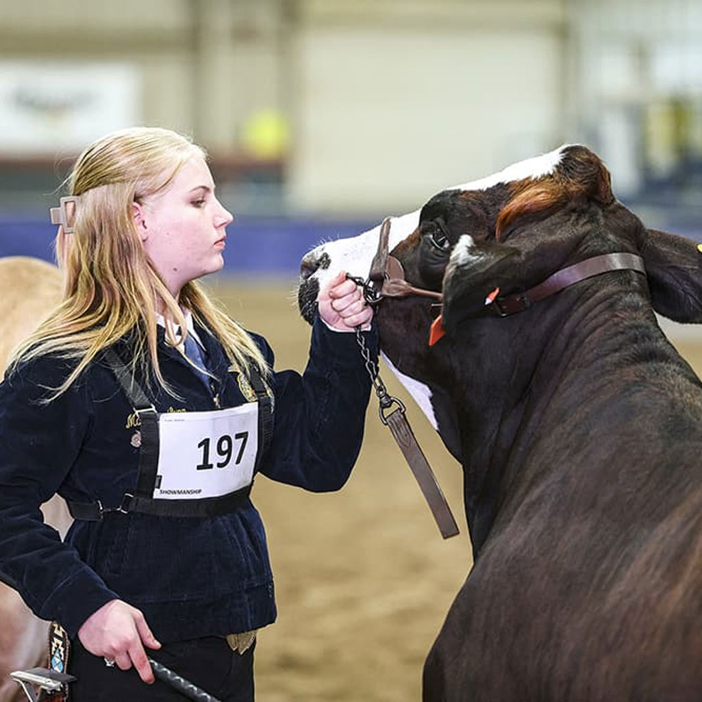 2026 Beef Show Information - Florida State Fair