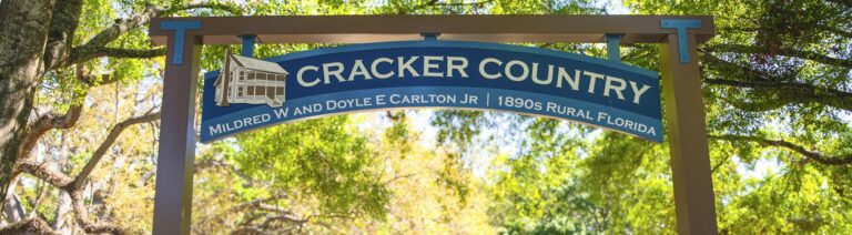 About Cracker Country