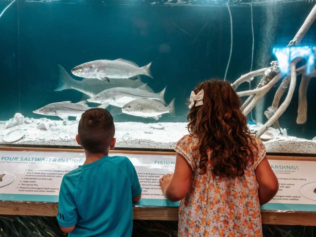 The America’s Cheerleading Cup - Florida State Fairgrounds