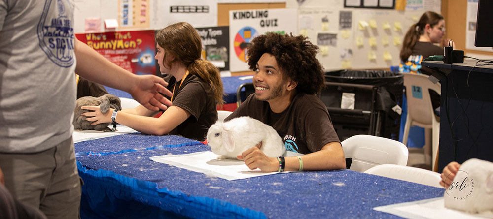 2026 Rabbit Show Information - Florida State Fair